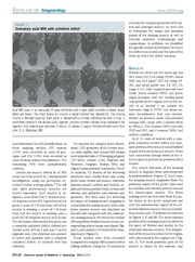 File:Margulies-AJOG2007.pdf - Slicer Wiki