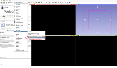 Documentation/4.5/SlicerApplication/ExtensionsManager - Slicer Wiki
