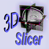 Slicer:Workshops:User Training 101 - Slicer Wiki