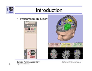 File:SlicerTraining-NAMIC.pdf - Slicer Wiki