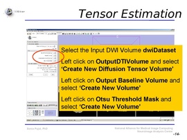 File:DiffusionMRITutorial SFN2009 SPujol.pdf - Slicer Wiki