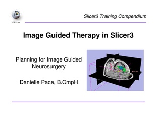 File:ImageGuidedTherapyPlanning.pdf - Slicer Wiki