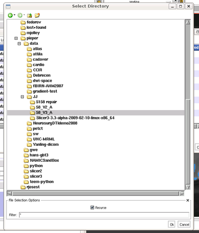 Modules:Loading-Data-3.4 - Slicer Wiki