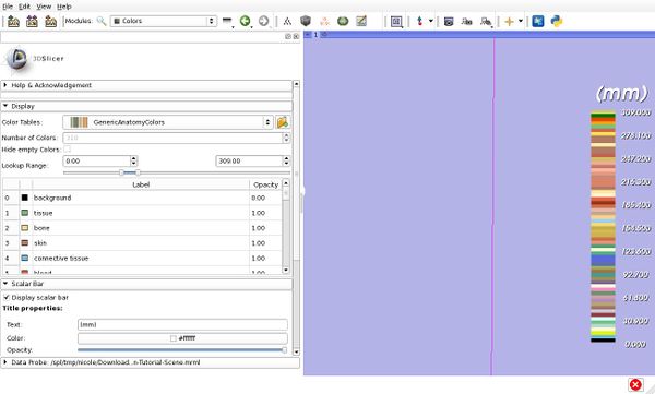 Documentation/Nightly/Modules/Colors - Slicer Wiki
