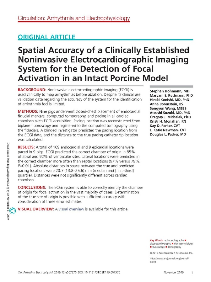 File:Hohmann 2019 Spatial Accuracy of a Clinically Established ...