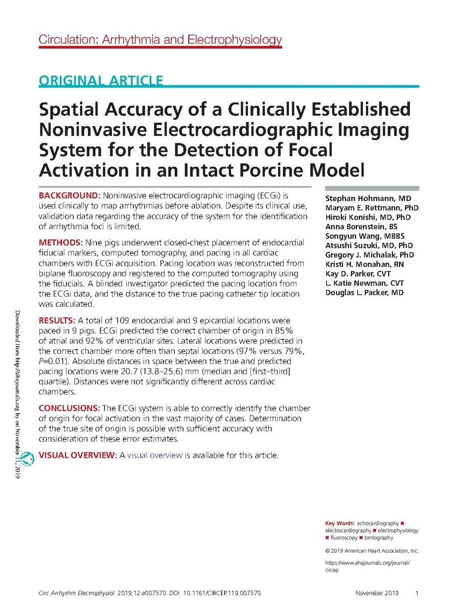 File:Hohmann 2019 Spatial Accuracy of a Clinically Established ...