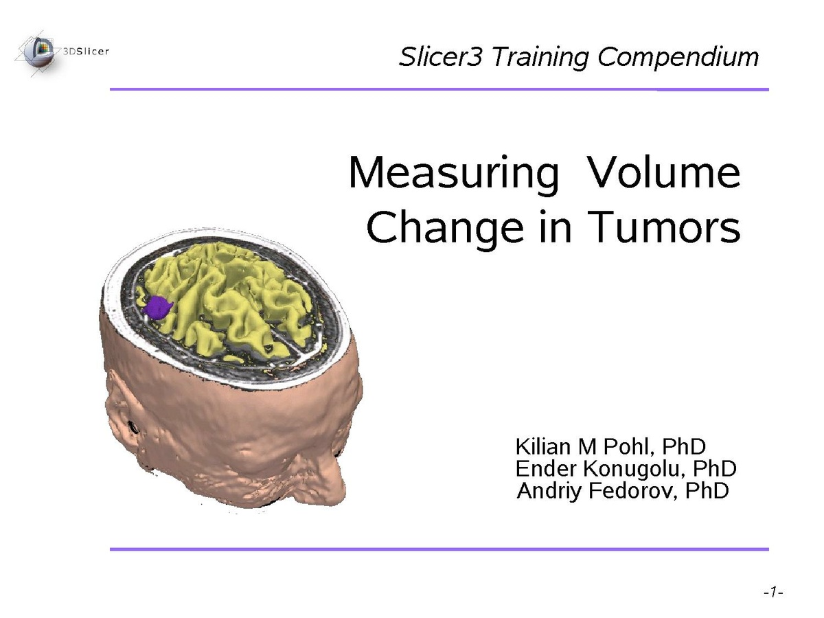File:Slicer3.4.1-ChangeTrackerTutorial.pdf - Slicer Wiki