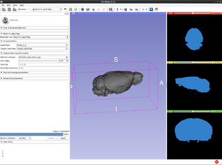 Documentation/Nightly/Extensions/MeshToLabelMap - Slicer Wiki
