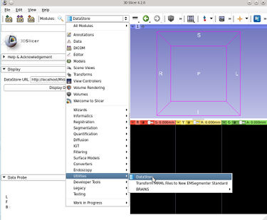 Documentation/4.10/Modules/DataStore - Slicer Wiki