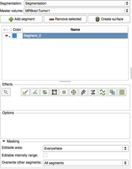 Documentation/4.6/Modules/SegmentEditor - Slicer Wiki