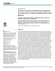 File:Stern-PLoSBiol2015.pdf - Slicer Wiki
