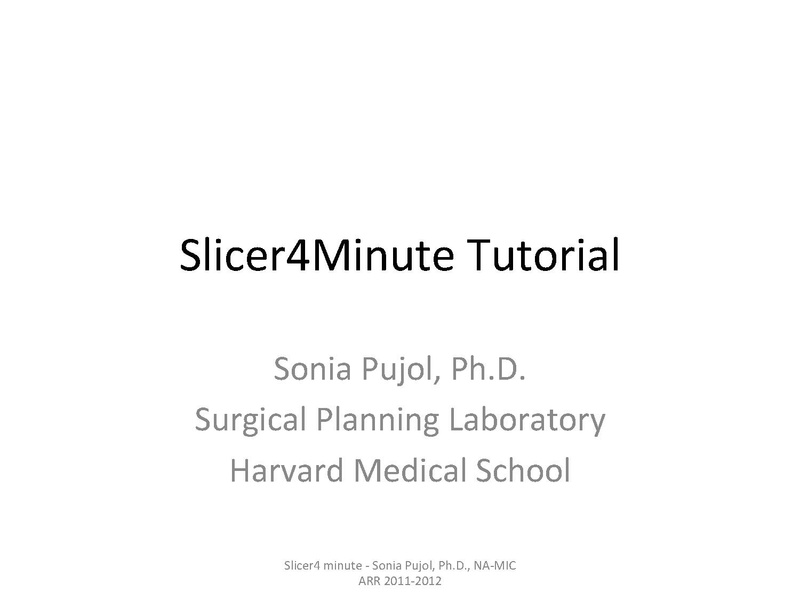 File:Slicer4minute-tutorial SoniaPujol.pdf - Slicer Wiki