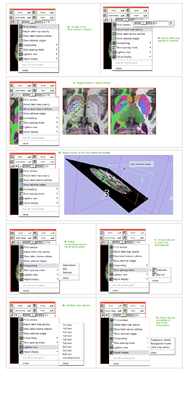 Modules:MainApplicationGUI-Documentation-3.4 - Slicer Wiki
