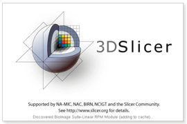 Slicer3:VisualBlog - Slicer Wiki