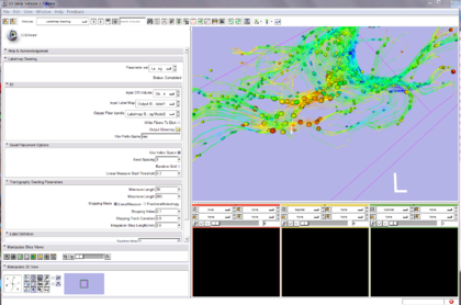 Modules:ROISeeding-Documentation-3.6 - Slicer Wiki