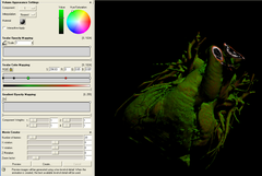 Slicer3:Volume Rendering With Cuda - Slicer Wiki