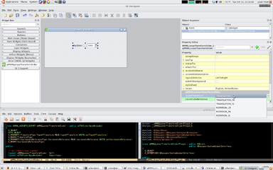 Slicer3:VisualBlog - Slicer Wiki