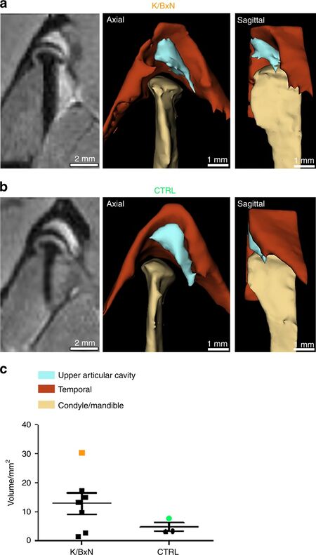 Main Page/SlicerCommunity/2020 - Slicer Wiki