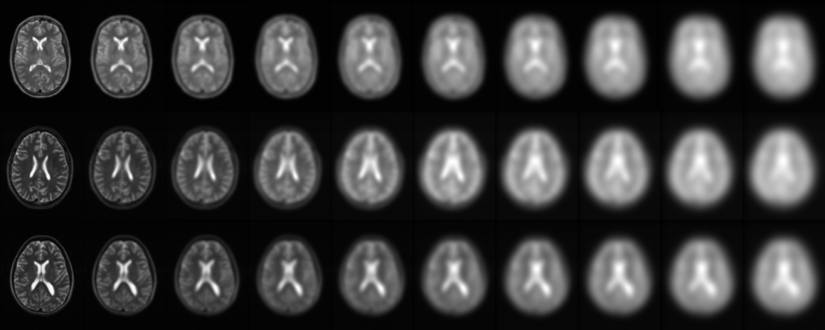 Modules:GaussianBlurBatch-Documentation-3.6 - Slicer Wiki