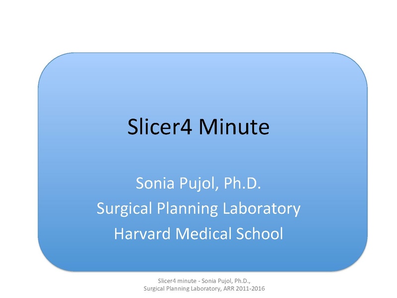 File:Slicer4.5minute SoniaPujol.pdf - Slicer Wiki