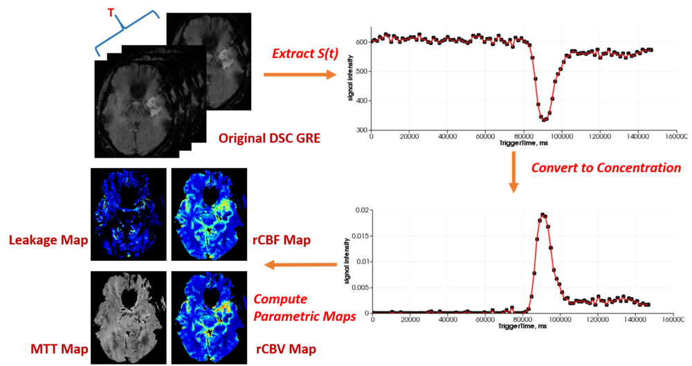 Documentation/Nightly/Modules/DSC MRI Analysis - Slicer Wiki