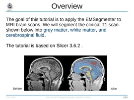 File:EMSegmenterTutorialAdvancedMode-2010-Dec.pdf - Slicer Wiki