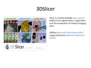 File:3DDataLoadingandVisualization Slicer43 SoniaPujol.pdf - Slicer Wiki